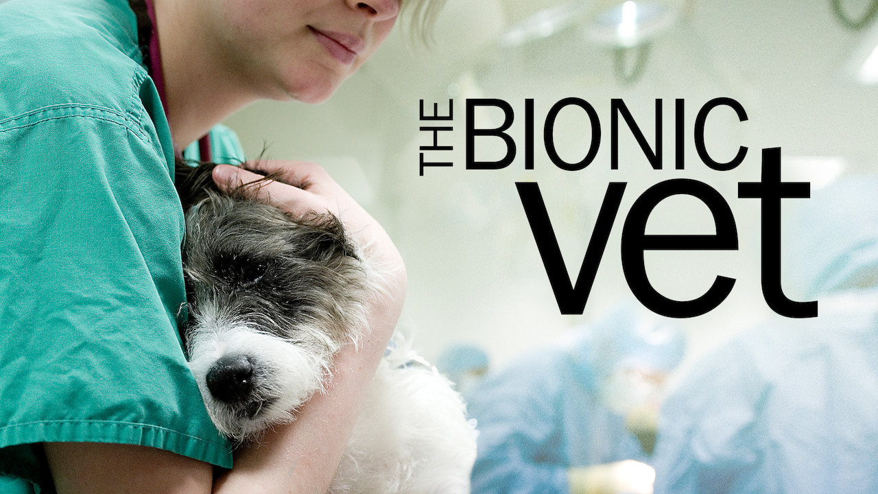 Is 'The Bionic Vet' on Netflix? Where to Watch the Documentary - New On ...